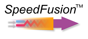 SpeedFusion Bonding License Key for Balance Two | FrontierUS